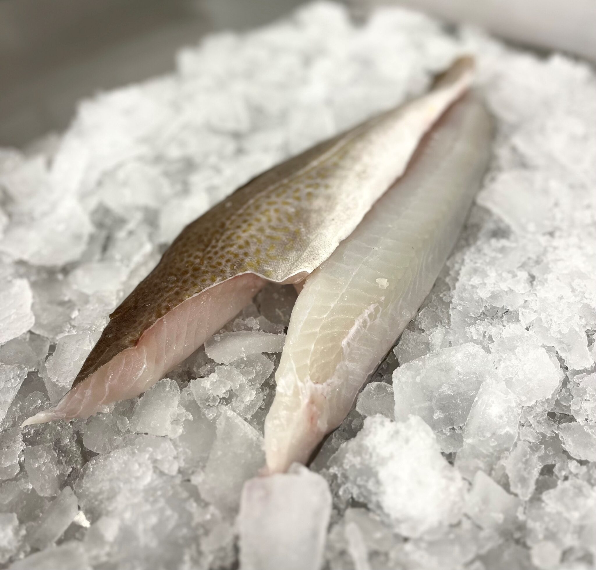 Cod Fillet £21.00 per kilo | Deliver Fish