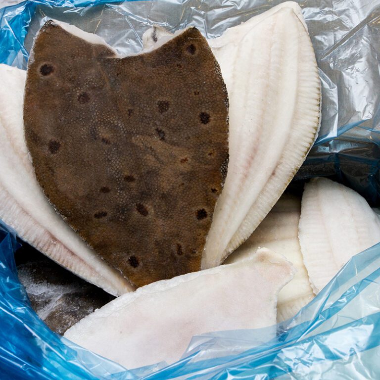 Plaice Fillets 10-12 oz 4.54kg box - £49.00 | Deliver Fish