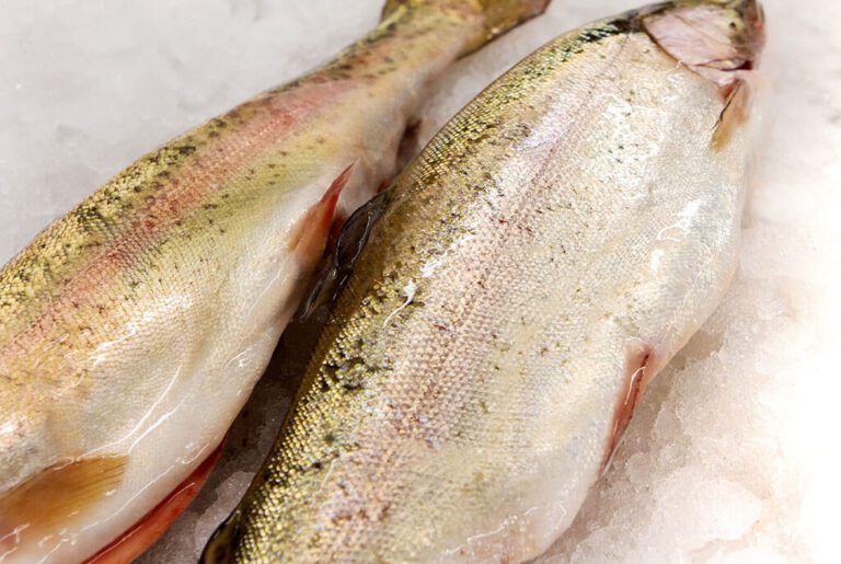 Whole Trout £12.50 per kilo | Deliver Fish