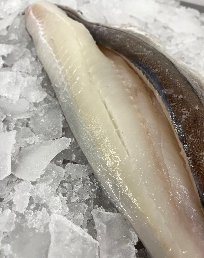 Haddock Fillet £20.00 per kilo | Deliver Fish