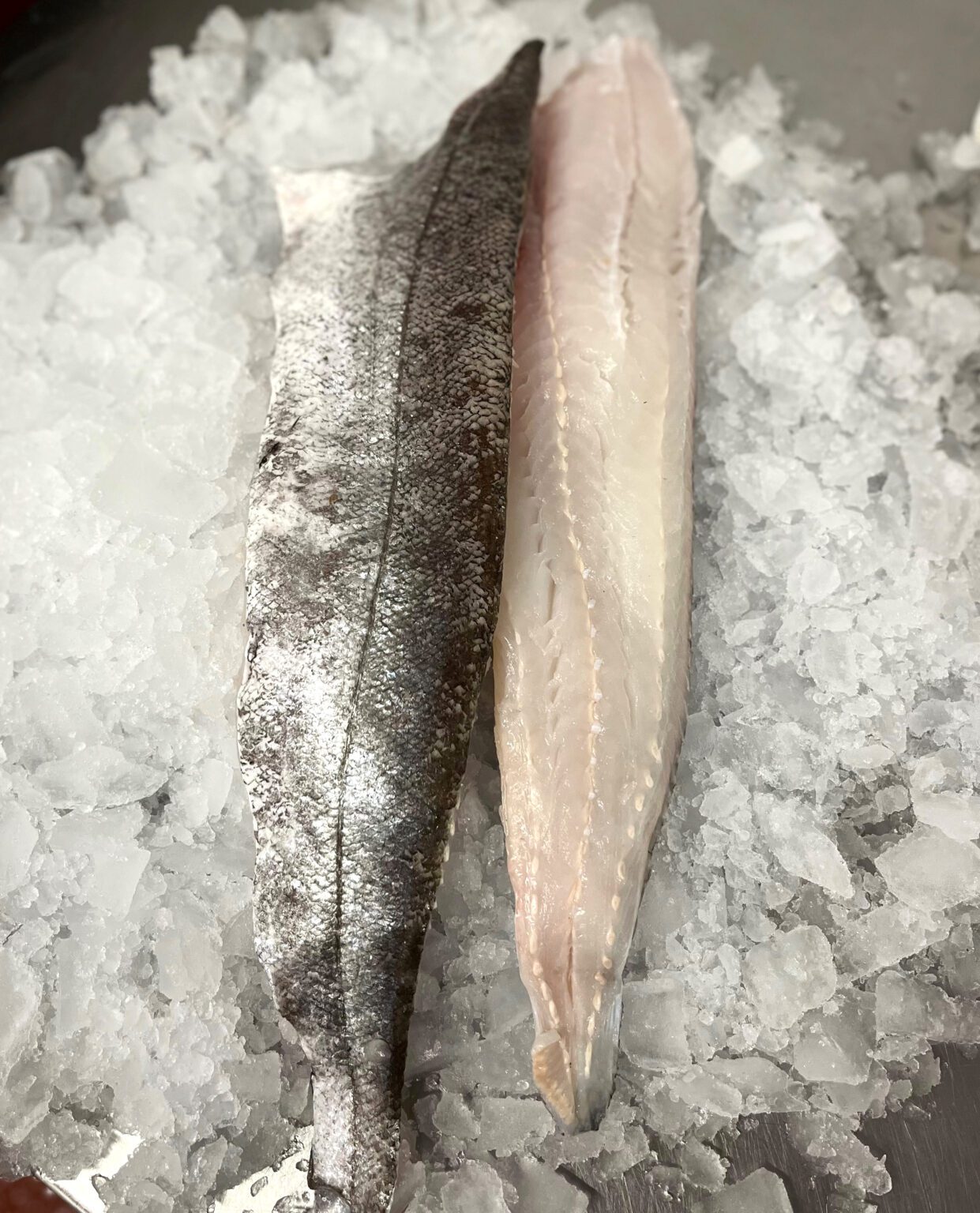 Hake Fillet £23.00 per kilo | Deliver Fish